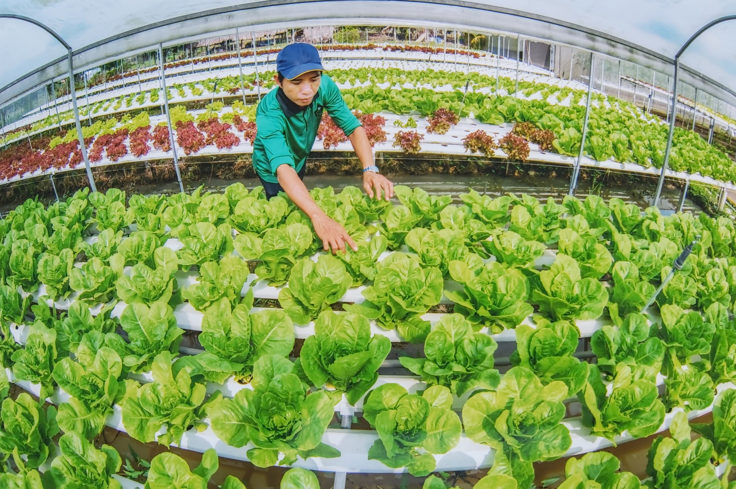 Đổi mới chính sách, pháp luật đất đai, phục vụ phát triển nông nghiệp, nông dân, nông thôn theo ...